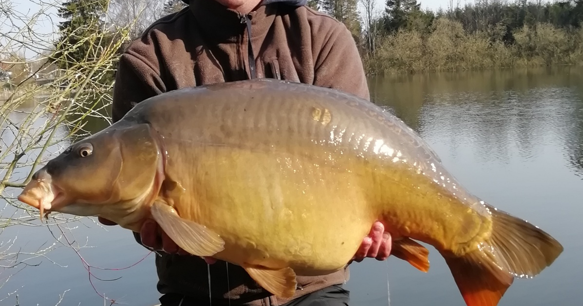 Månedens Fisk April 2021