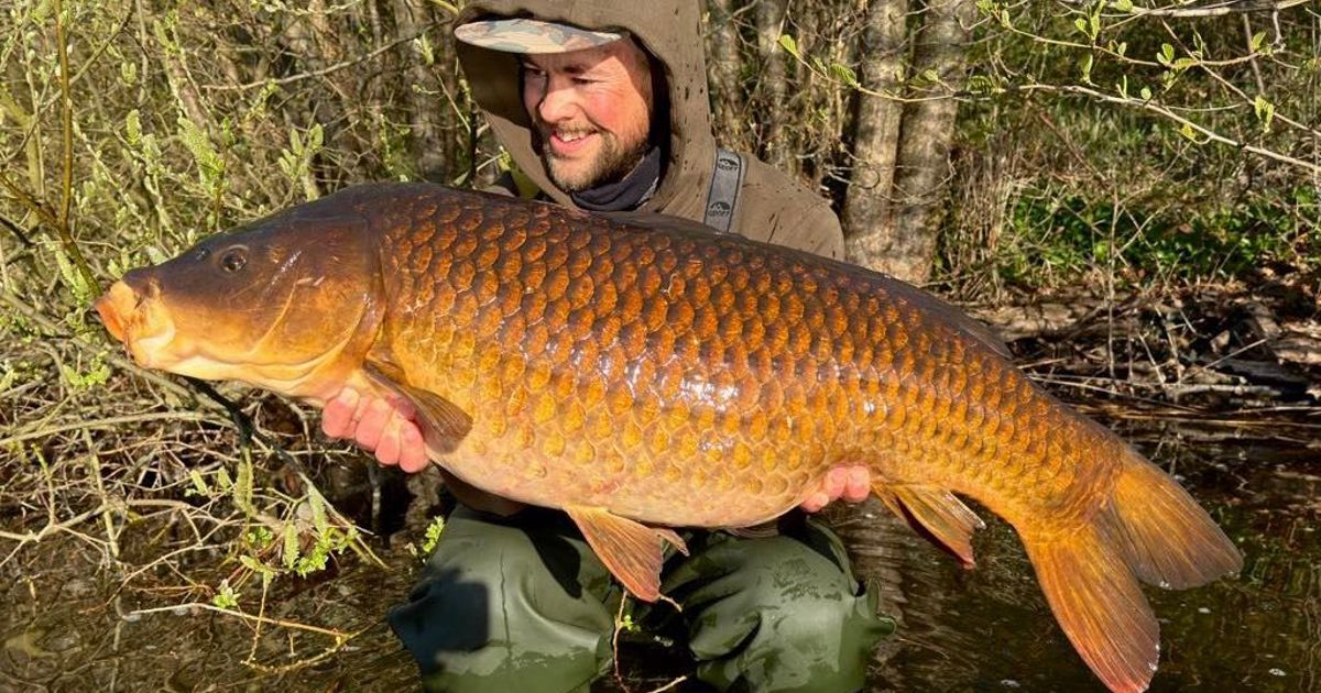 Månedens Fisk April 2025